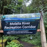 Amanda's Trail, Oregon - 145 Reviews, Map | AllTrails