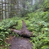 Amanda's Trail, Oregon - 145 Reviews, Map | AllTrails