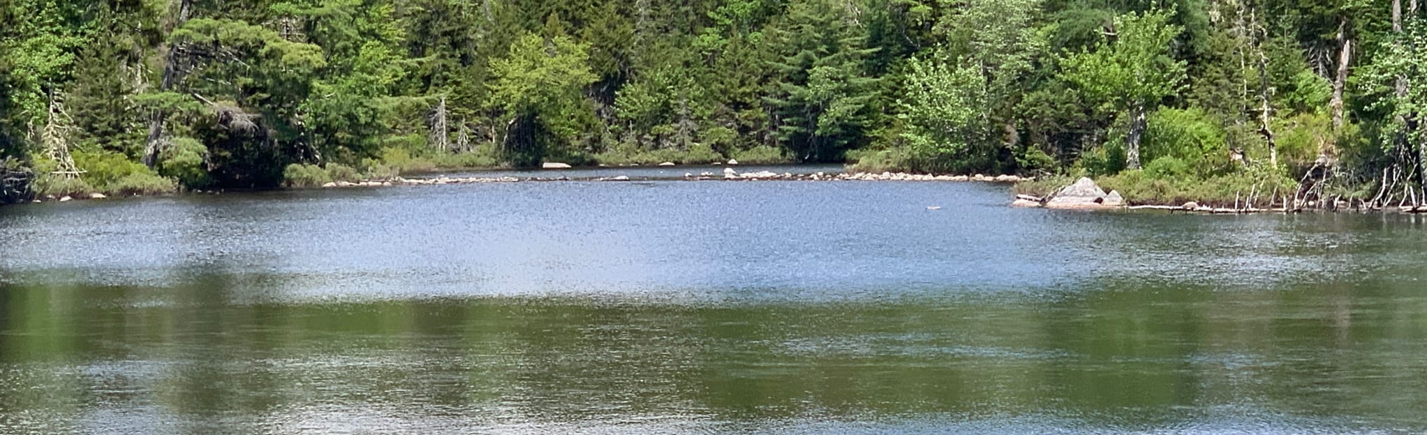 Pine Lake Trail via Burnt Lake Road, Nova Scotia, Canada - Map, Guide ...