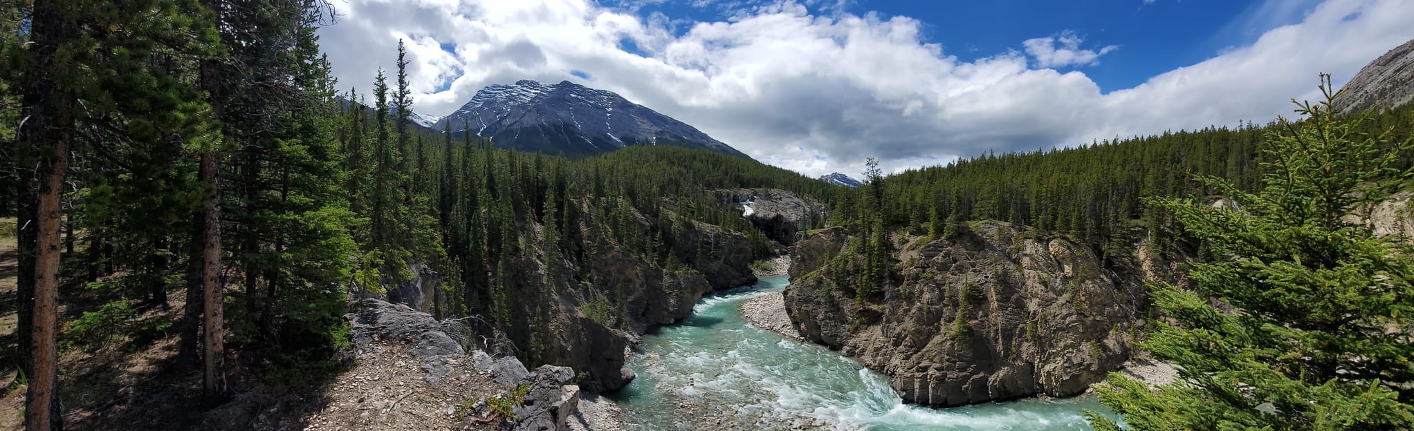 Cline River Trail: 424 foto - Alberta, Canada | AllTrails