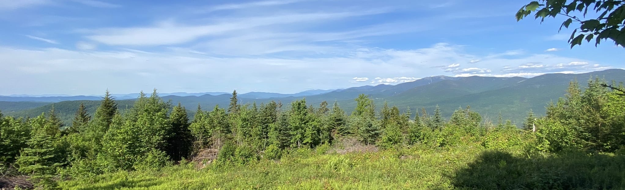 Cole Hill via Blue, Red, and Yellow Trail Loop, New Hampshire - 59 ...
