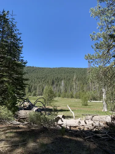 Best Mountain Biking Trails in Forest Ranch | AllTrails