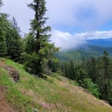 Tire Mountain Trail, Oregon - 129 Reviews, Map | AllTrails