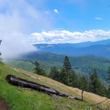 Tire Mountain Trail, Oregon - 129 Reviews, Map | AllTrails