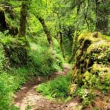 Tire Mountain Trail, Oregon - 129 Reviews, Map | AllTrails