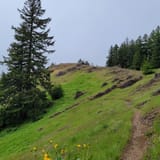 Tire Mountain Trail, Oregon - 129 Reviews, Map | AllTrails