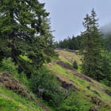 Tire Mountain Trail, Oregon - 129 Reviews, Map | AllTrails
