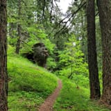 Tire Mountain Trail, Oregon - 129 Reviews, Map | AllTrails