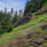 Tire Mountain Trail, Oregon - 149 Reviews, Map | AllTrails