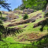 Tire Mountain Trail, Oregon - 149 Reviews, Map | AllTrails