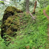 Tire Mountain Trail, Oregon - 149 Reviews, Map | AllTrails