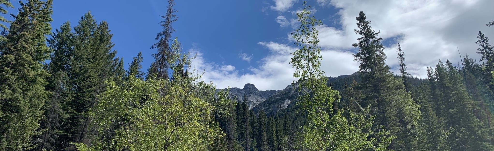 Tibits Quarry, Meander and New Connector Trail: 565 Reviews, Map ...