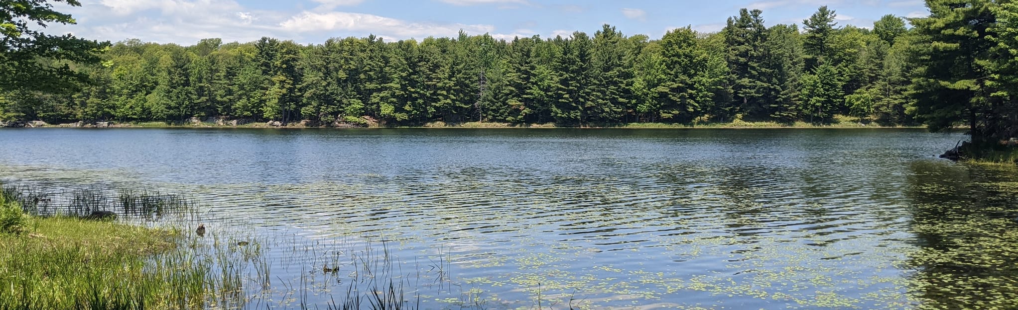 Little Clear Lake via South Trail: 69 Reviews, Map - Ontario, Canada ...