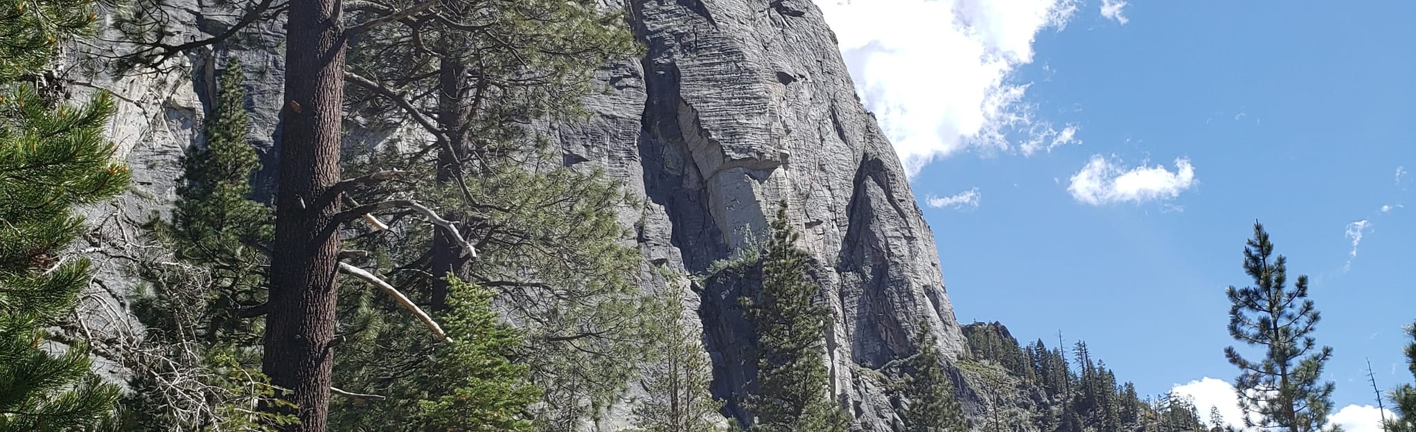 Hogsback via Pony Express Trail: 17 Reviews, Map - California | AllTrails