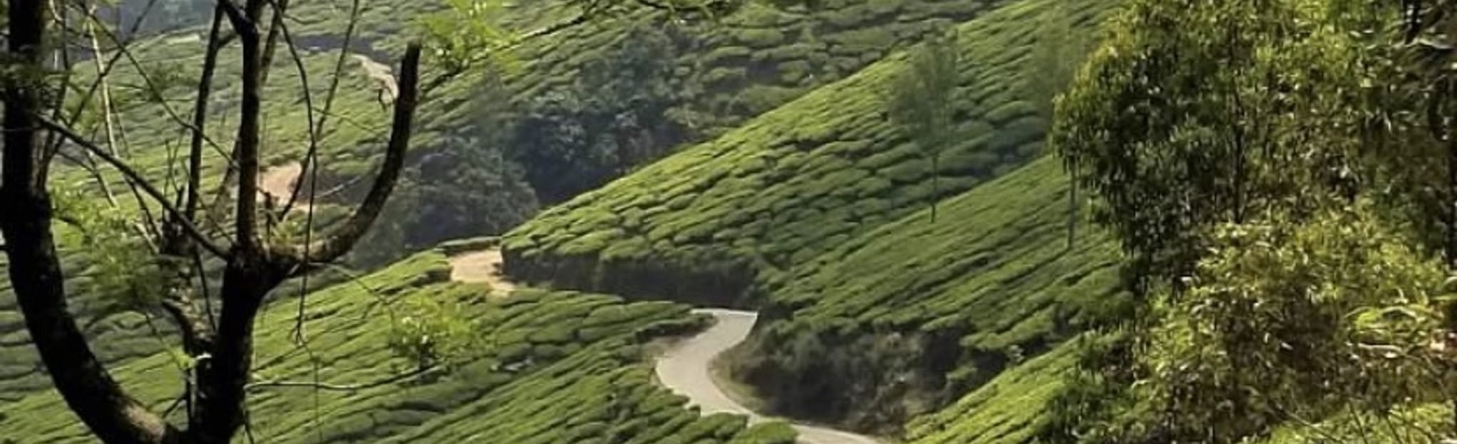 Suryanelli - Phantom's Rock, Kerala, India - 3 Reviews, Map | AllTrails