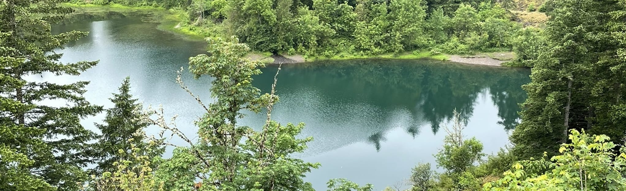 Greenleaf Falls Trail Via Pacific Crest Trail - Washington | AllTrails