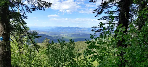 10 Best Moderate Trails in Mount Spokane State Park | AllTrails