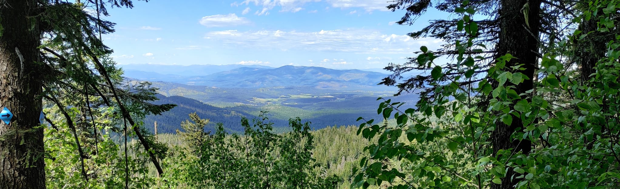 Day Mountain and Mount Kit Carson Trail: 64 Reviews, Map - Washington ...