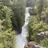 Agnes Gorge Trail, Washington - 131 Reviews, Map | AllTrails