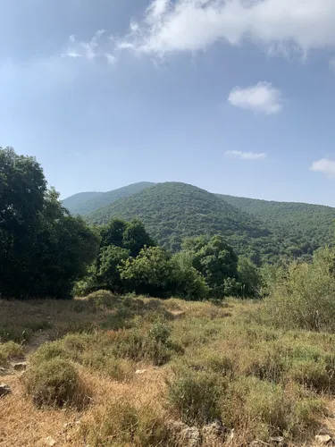 Best 10 Hikes and Trails in Har Meron Nature Reserve | AllTrails