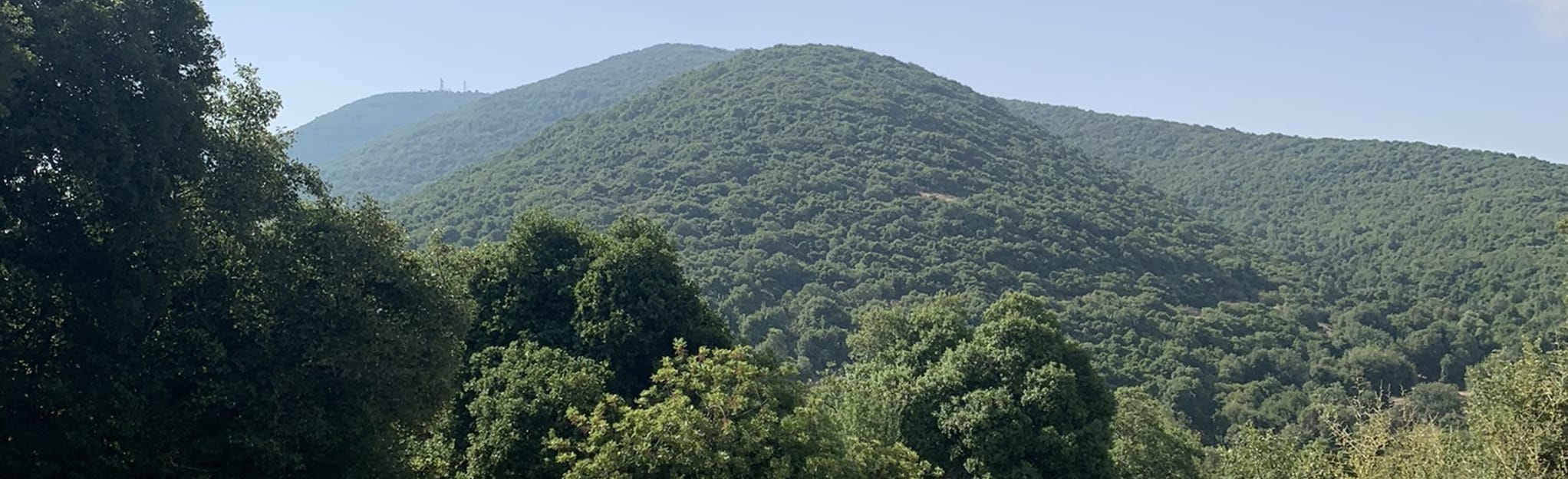 Khammama Ruins and Moran Stream Circuit: 17 Reviews, Map - Northern ...