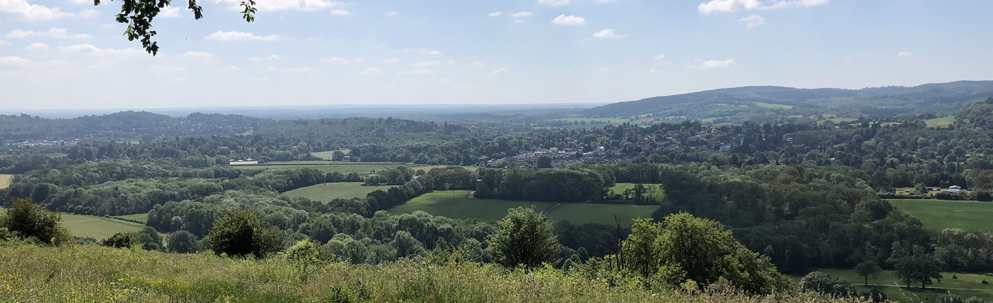 Ranmore Common and Ashcombe Wood Circular: 25 Reviews, Map - Surrey ...