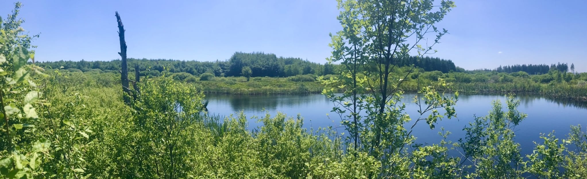 Hautes Fagnes-Eifel - view of the Fens: 12 Reviews, Map - Liège ...