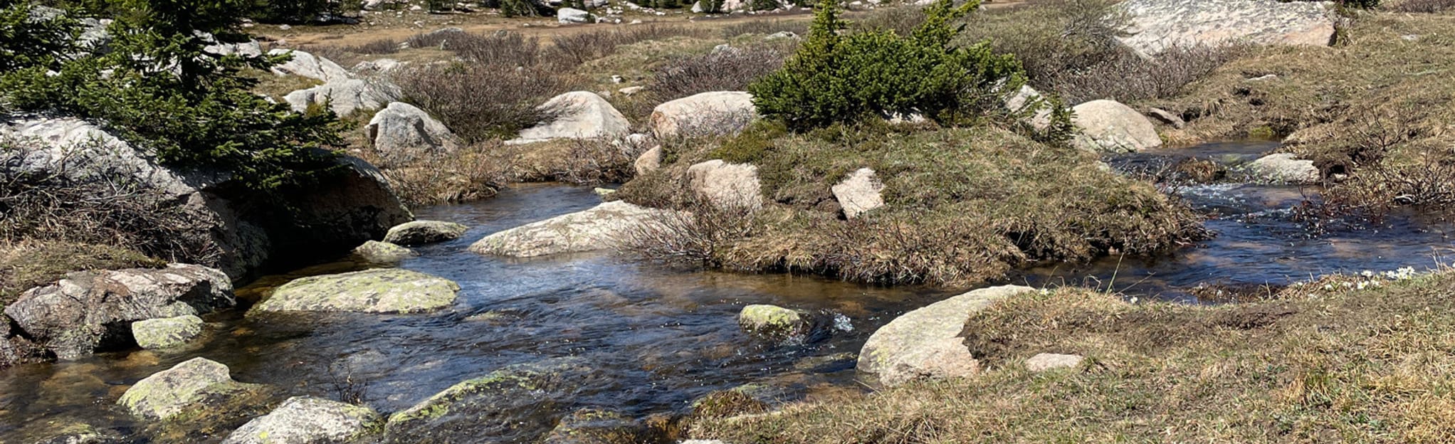 Tibbs Butte via Hauser Lake and Beartooth National Recreation Trail ...