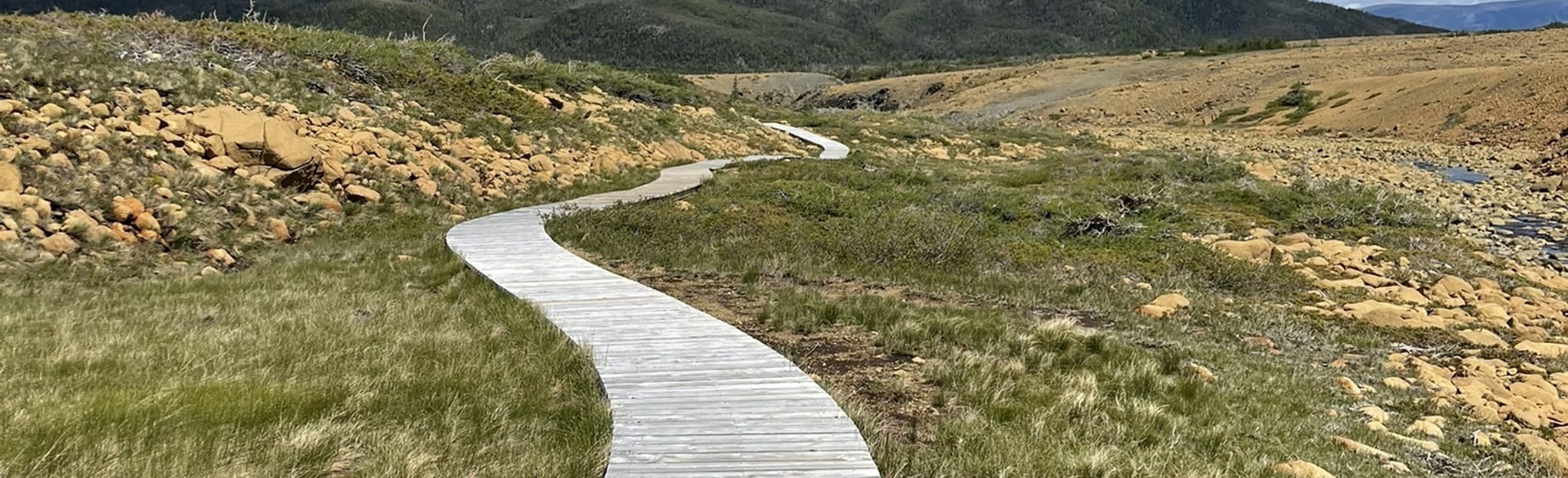 Tablelands Off-Trail Loop: 163 Reviews, Map - Newfoundland and Labrador ...