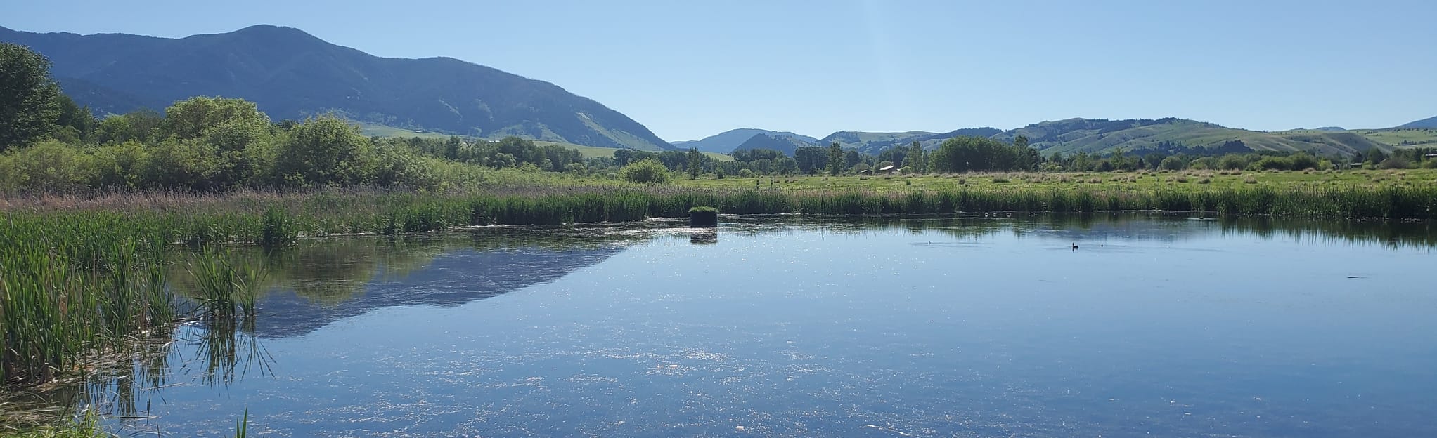 Cherry River Recreation Area Loop - Montana | AllTrails