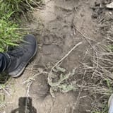 The Thorofare and South Boundary Trail, Montana - 45 Reviews, Map ...