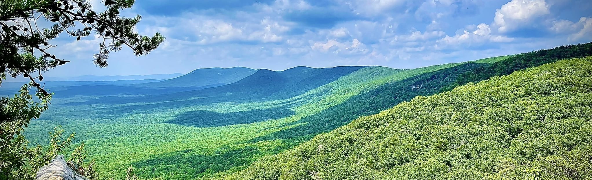 Pin-Chin-Sky Loop: 596 Reviews, Map - Alabama | AllTrails