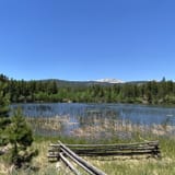 Mud Lake Loop, Colorado - 177 Reviews, Map | AllTrails