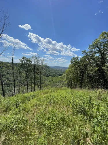 Best 10 Hikes and Trails in Hixon Forest | AllTrails