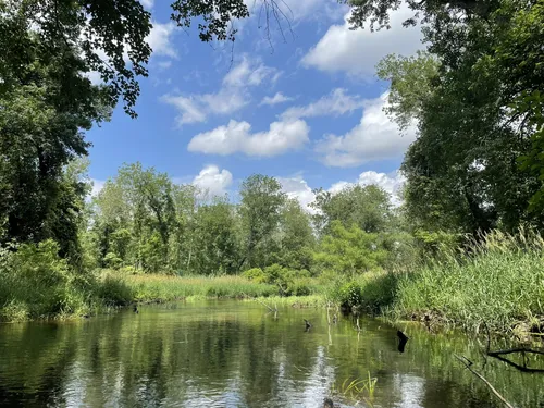 Best Hikes and Trails in Parvin State Park | AllTrails