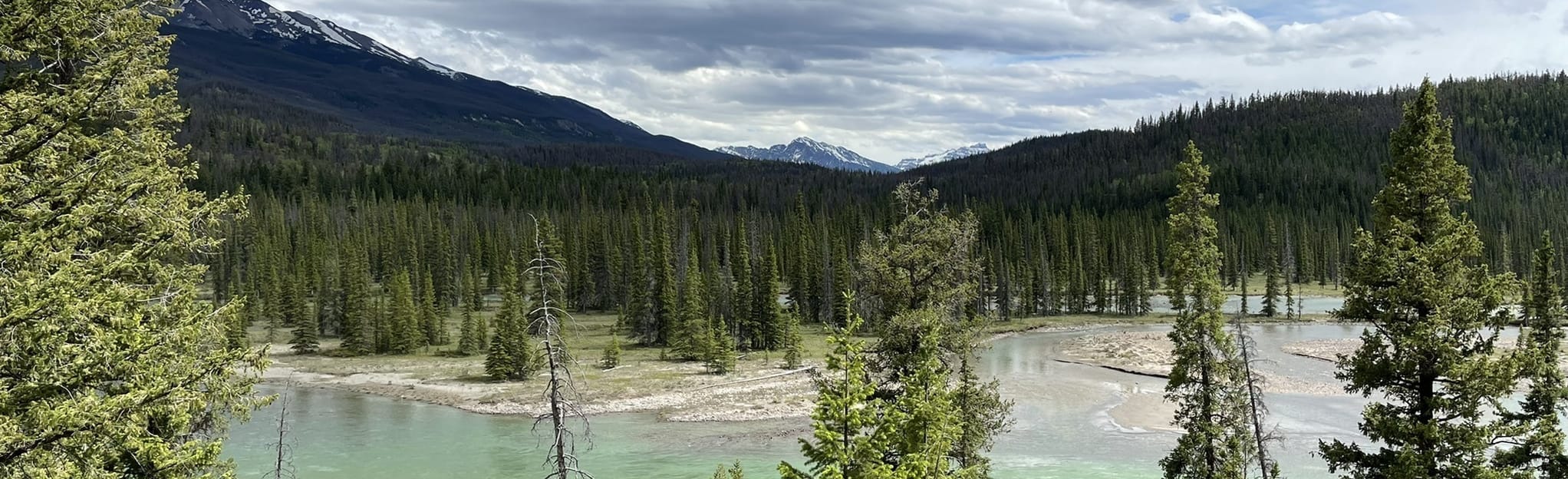 Red Squirrel Run: 22 Reviews, Map - Alberta, Canada | AllTrails