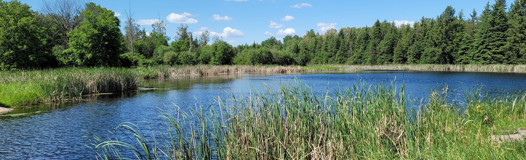 Pinawa Channel Heritage Walk: 545 Fotos - Manitoba, Kanada | AllTrails