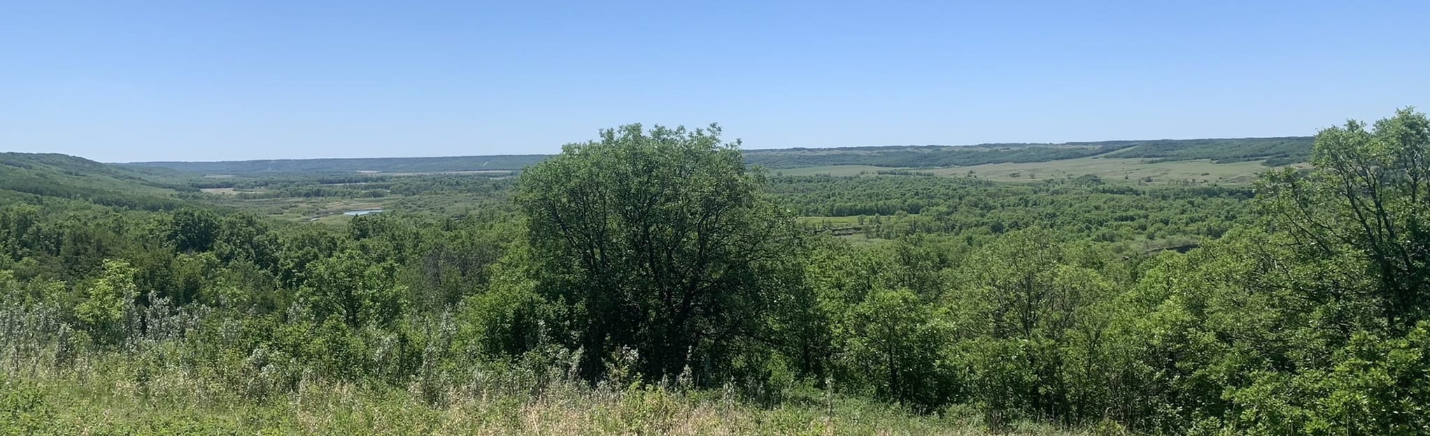 Silver Bend Trail, Manitoba, Canada - 26 Reviews, Map | AllTrails