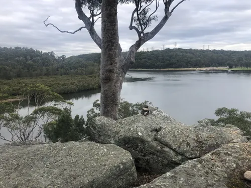 Best Hikes and Trails in Georges River National Park | AllTrails