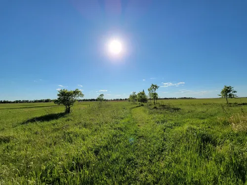 Best Hikes and Trails in Lundar Beach Provincial Park | AllTrails