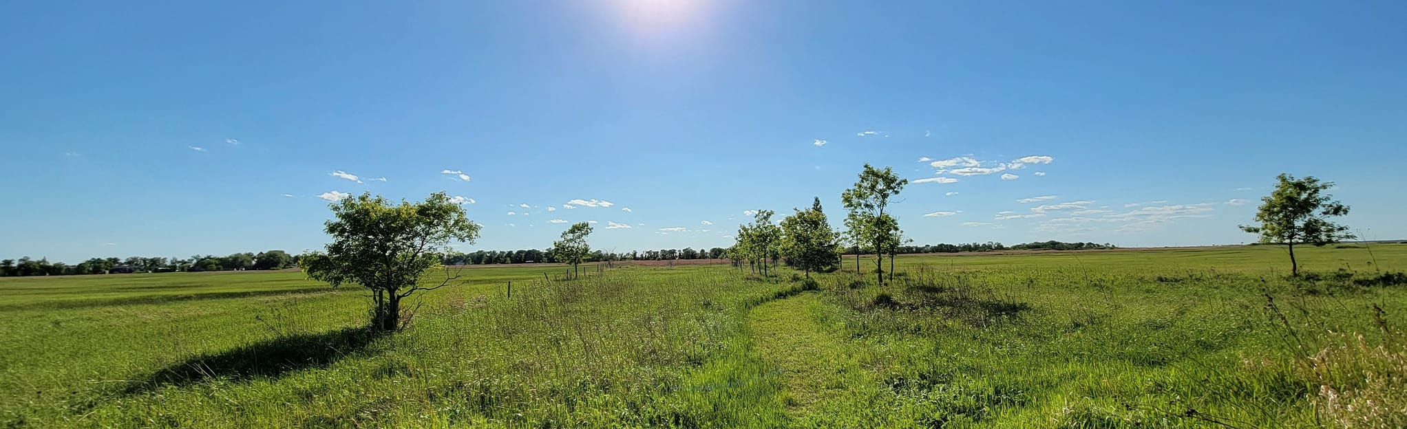 Lundar Marsh: 140 Reviews, Map - Manitoba, Canada | AllTrails