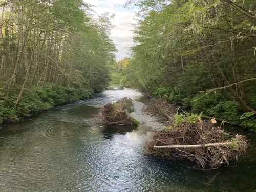 10 Best Trails and Hikes in Sitka | AllTrails