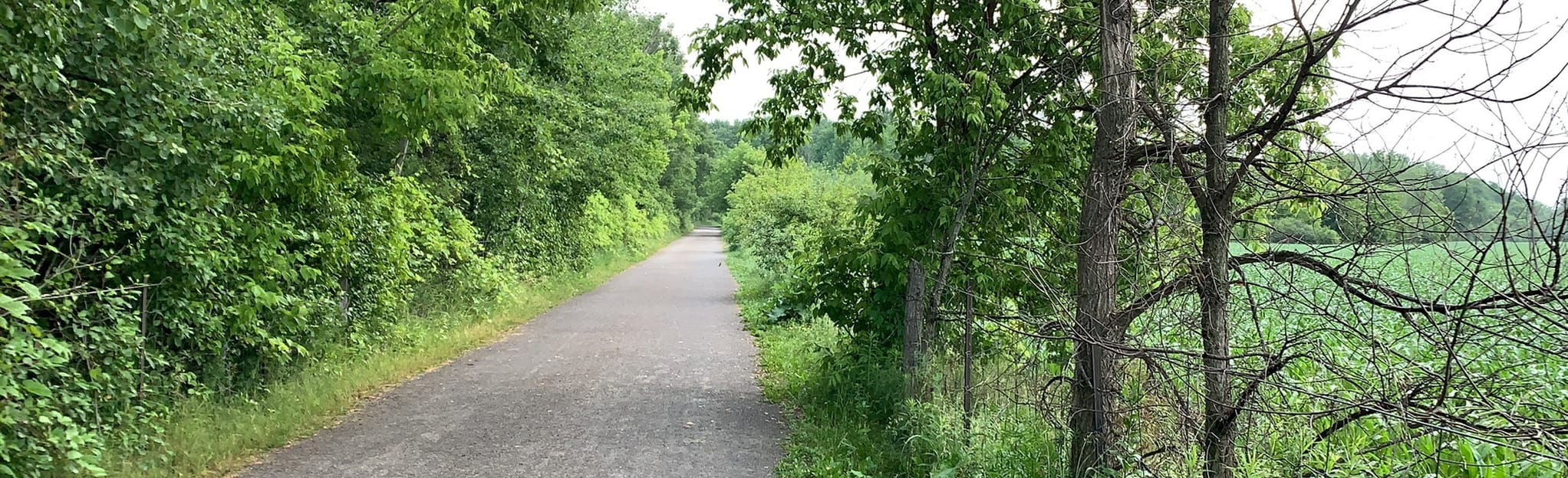 Greenbelt Pathway West, Ontario, Canada - 178 Reviews, Map | AllTrails