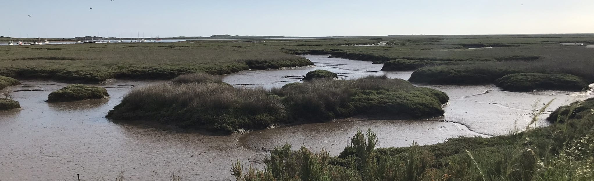 Brancaster Staithe Circular, Norfolk, England - 66 Reviews, Map | AllTrails