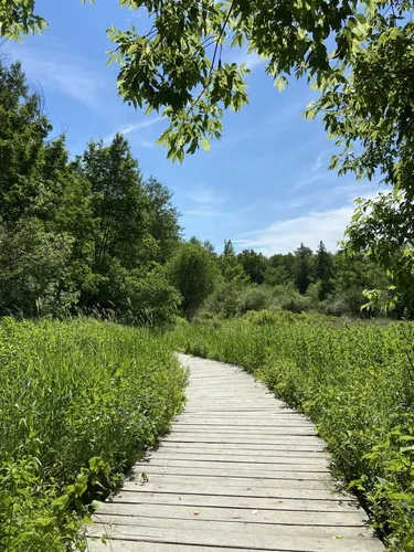 2023 Best 10 Walking Trails in Ottawa | AllTrails