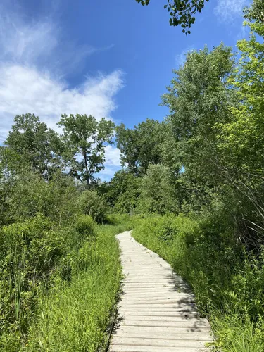 10 Best Trails and Hikes in Ottawa | AllTrails