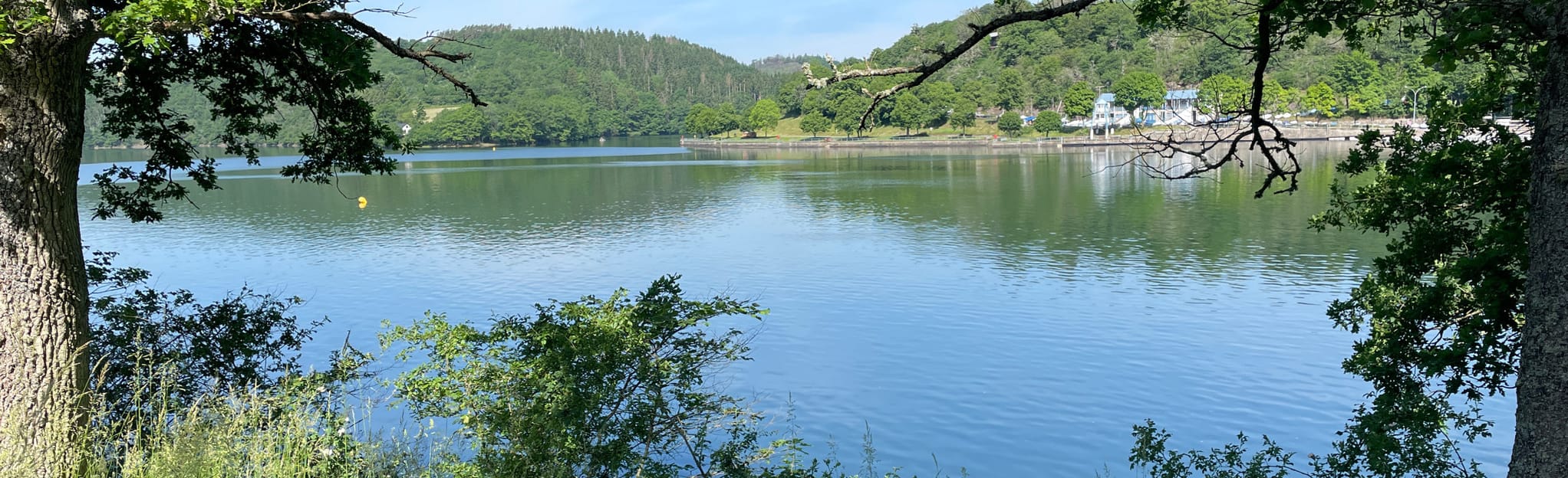 Insenborn Circular Walk, Wiltz, Luxembourg - 132 Reviews, Map | AllTrails