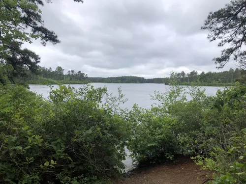 Best Hikes and Trails in Myles Standish State Forest | AllTrails