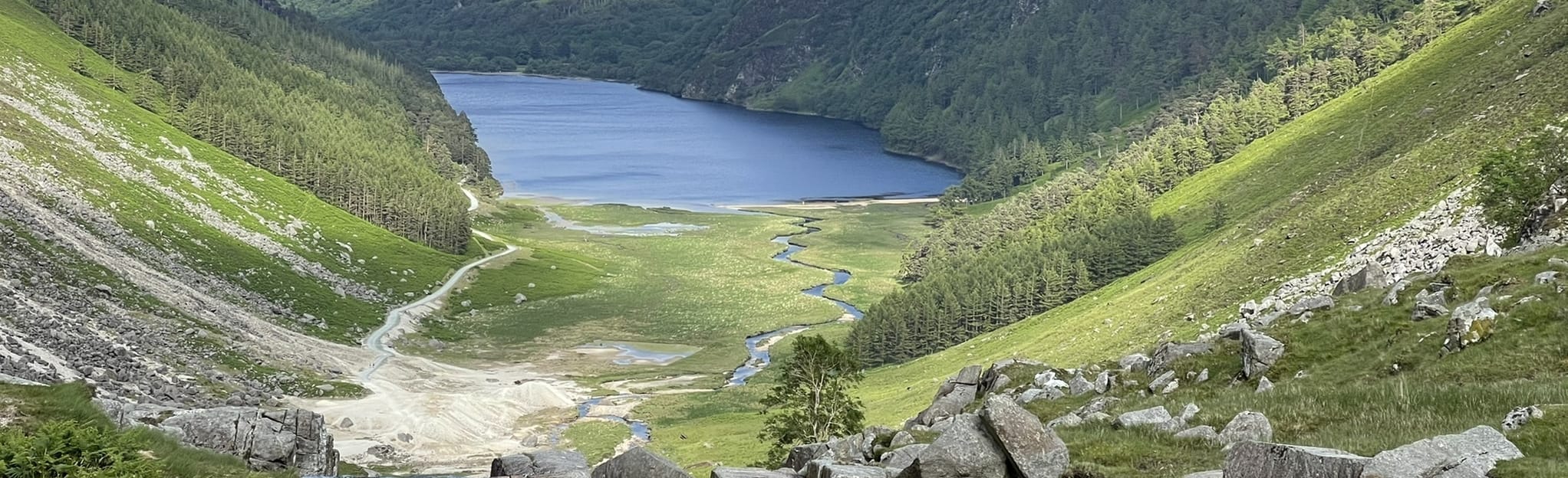 Miners' Way: 11 Reviews, Map - County Wicklow, Ireland | AllTrails