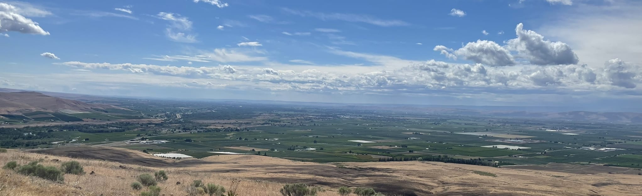 Ahtanum Ridge Extended Loop | Map, Guide - Washington | AllTrails